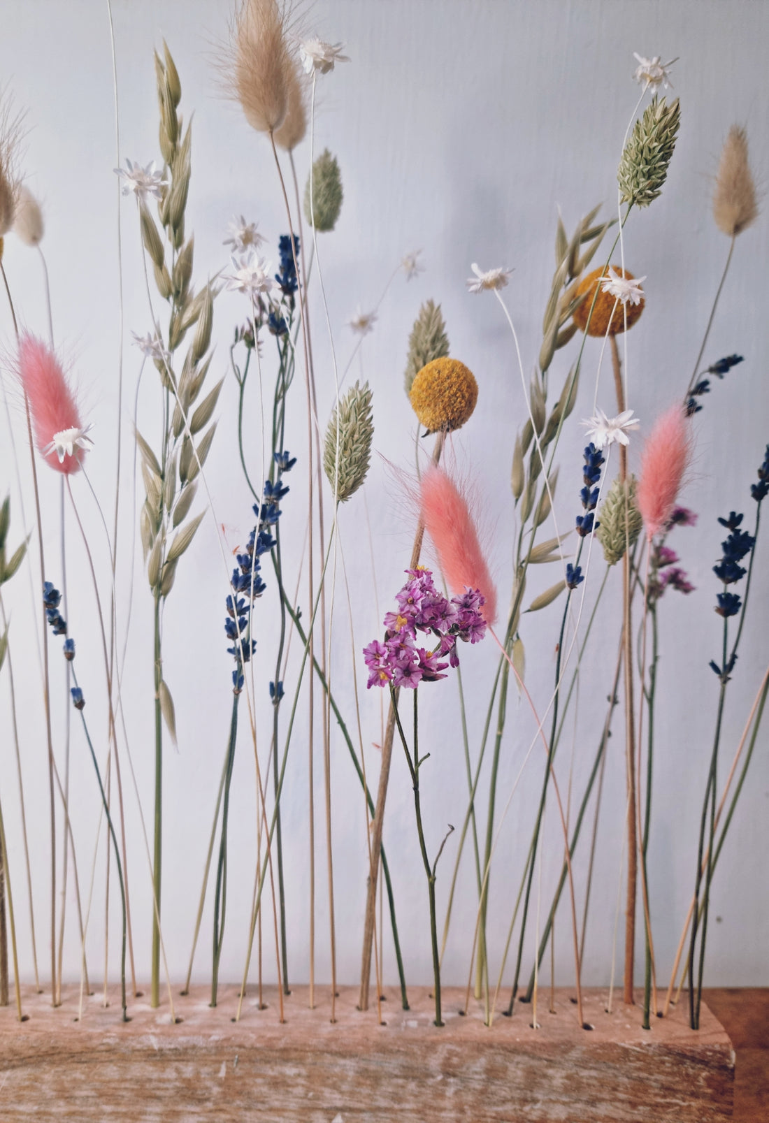DIY Dried Flower Products, South Wales. Dried flowers UK, Sown & Wild ...